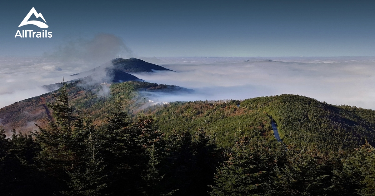 Best Trails in Mount Mitchell State Park - North Carolina | 830 Photos & 468 Reviews | AllTrails