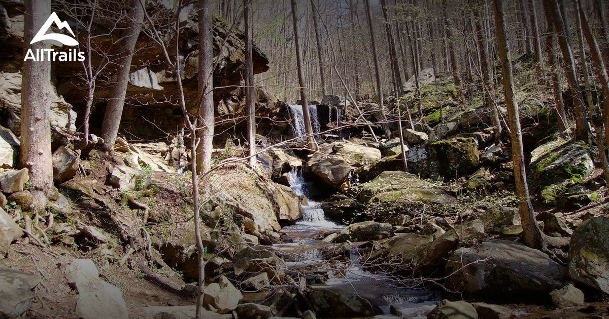 Best Trails in Frozen Head State Park - Tennessee | AllTrails Best Trails in Frozen Head State Park - Tennessee | AllTrails