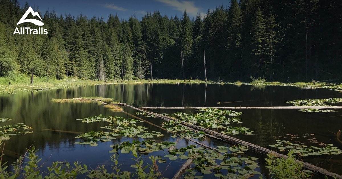 Best Trails In Larrabee State Park Washington Alltrails