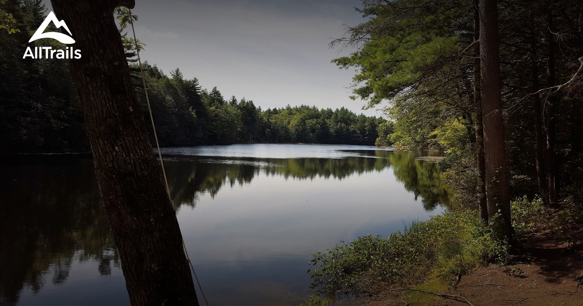 Best Trails in Bigelow Hollow State Park - Connecticut | AllTrails