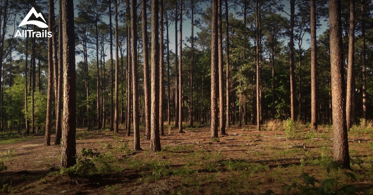 Best hikes and trails in Harbison State Forest | AllTrails