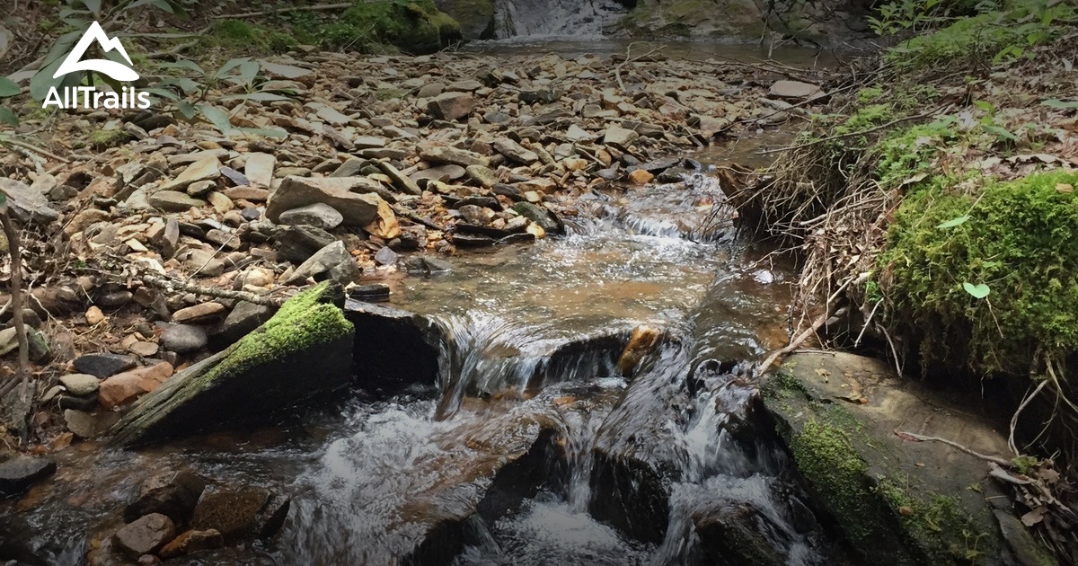 Best Trails In Coopers Creek Wildlife Management Area Georgia Alltrails