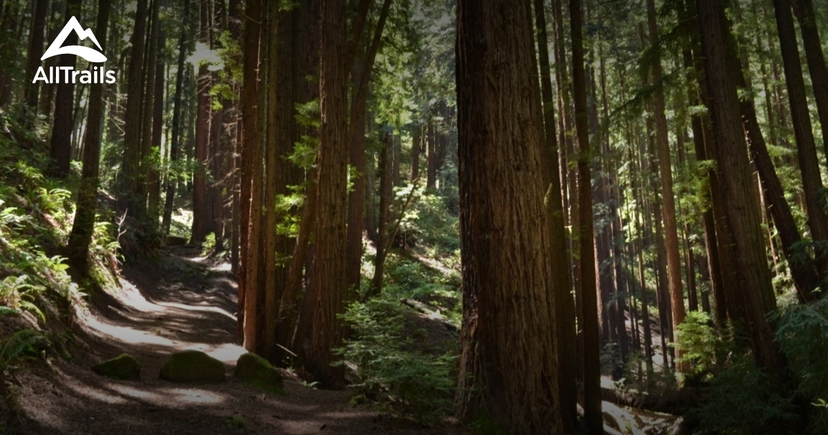 Best Trails in Joaquin Miller Park - California | AllTrails