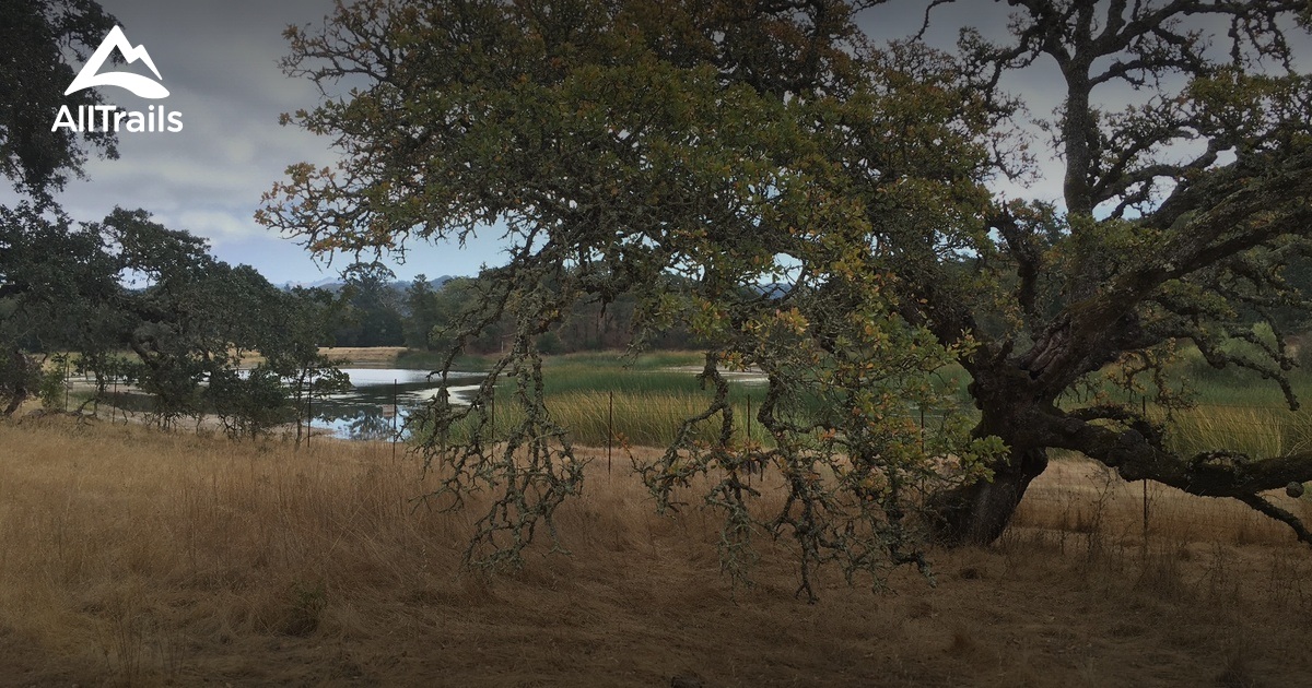 Best hikes and trails in Foothill Regional Park | AllTrails