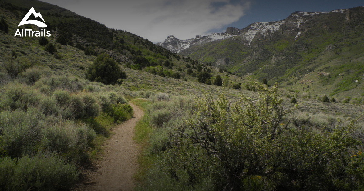 Best Trails in Ruby Mountains Wilderness - Nevada | AllTrails