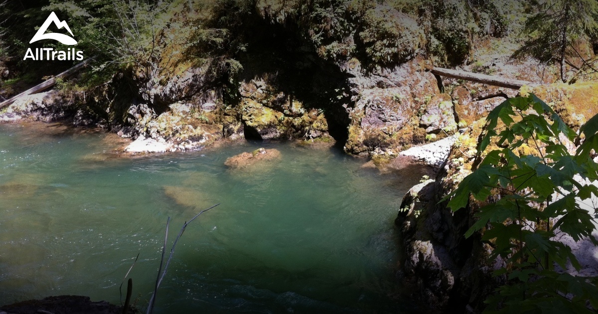 Best hikes and trails in Middle Santiam Wilderness | AllTrails