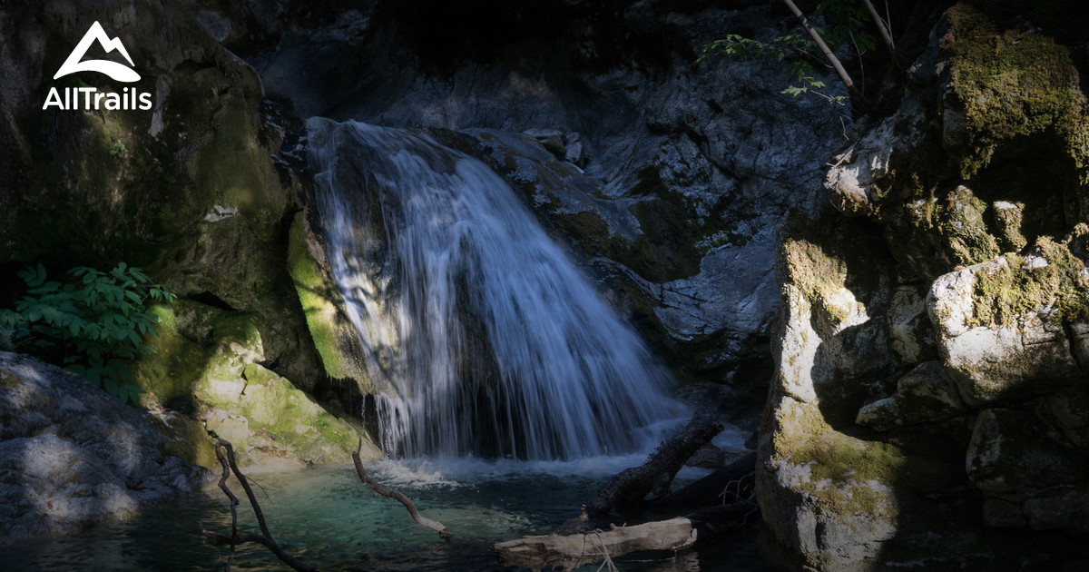 Best Trails in Ventana Wilderness - California | 22 Photos & 11 Reviews | AllTrails