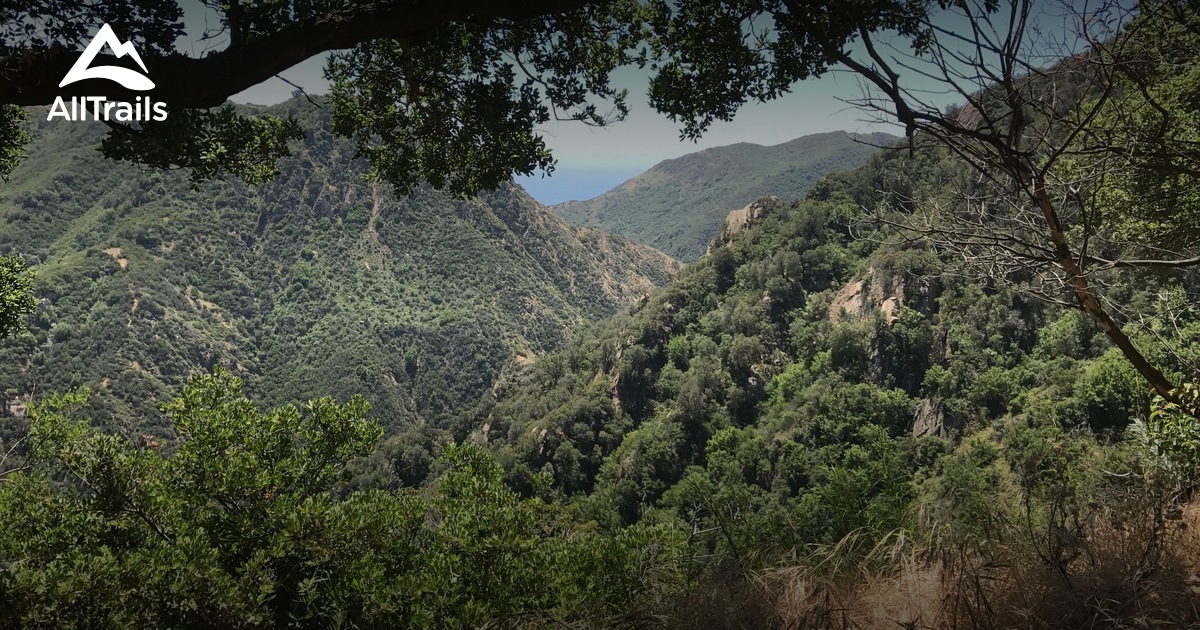 Best Trails in Ventana Wilderness - California | AllTrails