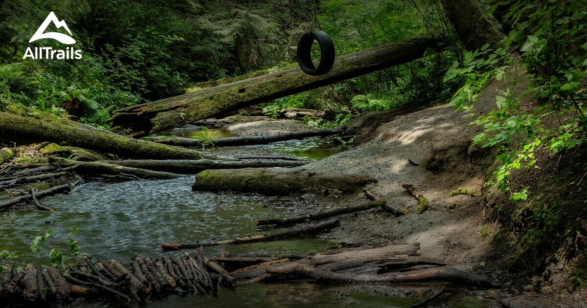 Best hikes and trails in Southwest County Olympic View Park | AllTrails