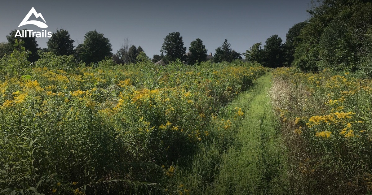 Best hikes and trails in Monaghan Forest Park | AllTrails