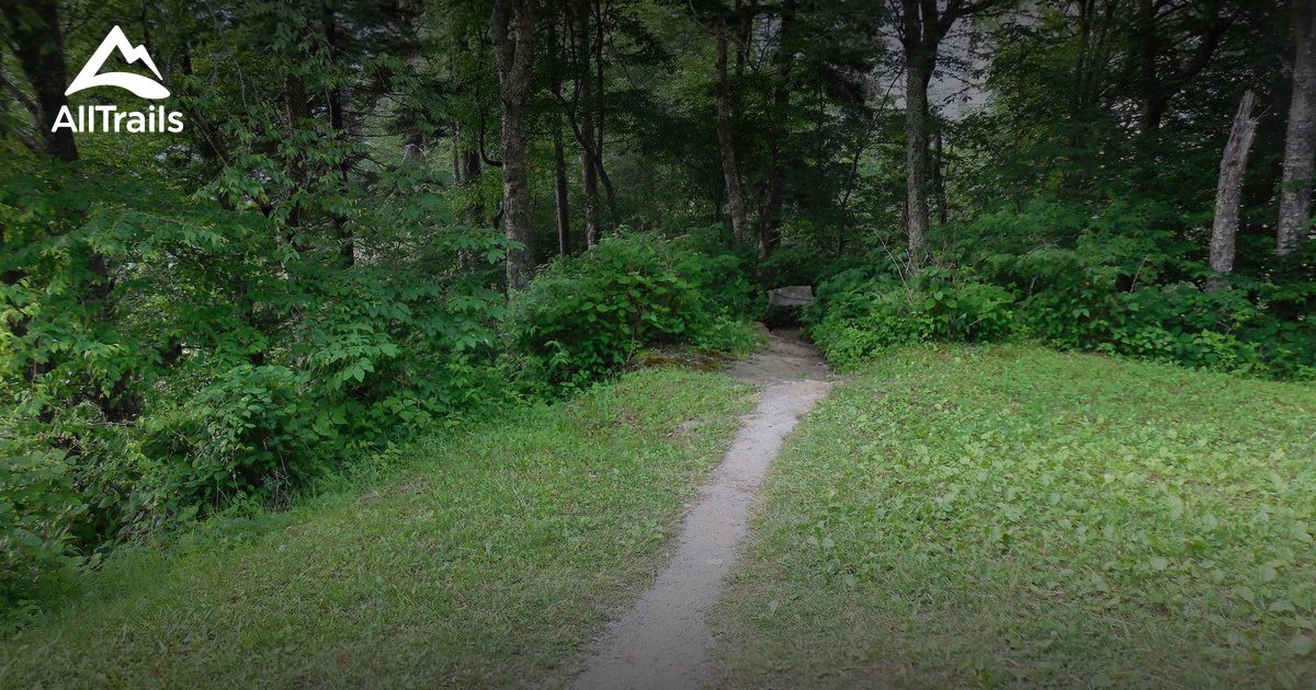 Bicentennial Greenbelt Park : les meilleurs parcours de trail | AllTrails