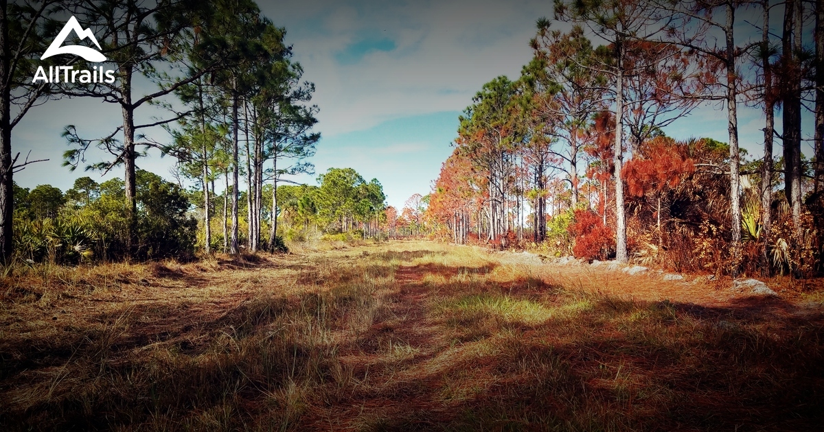 Myakka State Forest Map