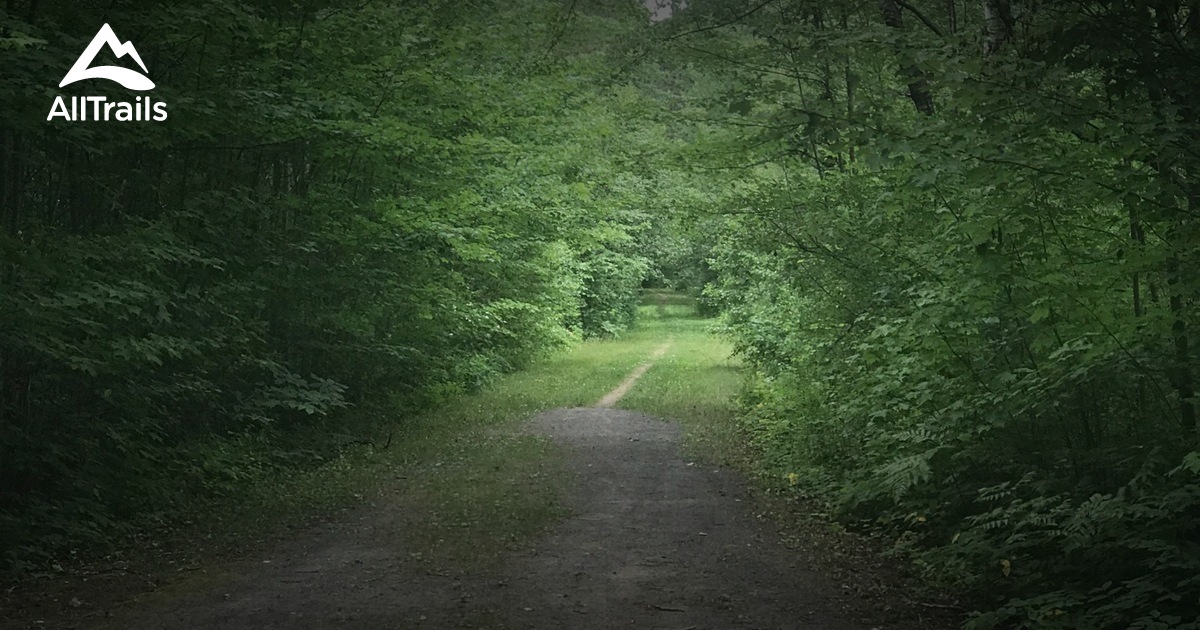 Best hikes and trails in Pine Grove Forest | AllTrails