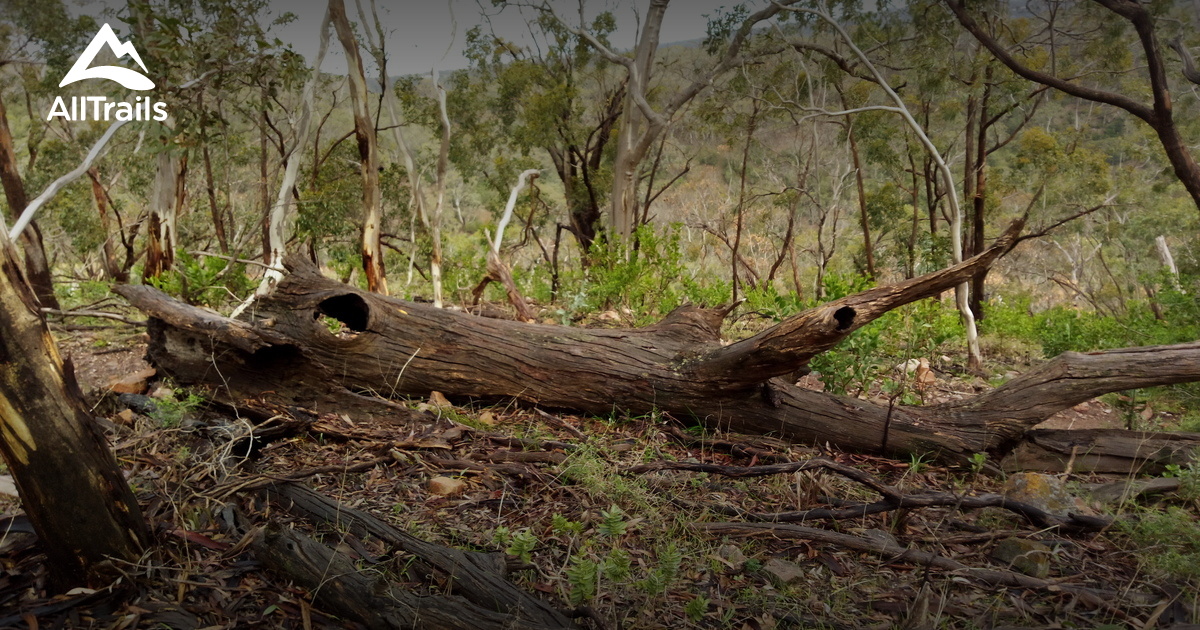 Best lake trails in Eagle Mountain Bike Park | AllTrails