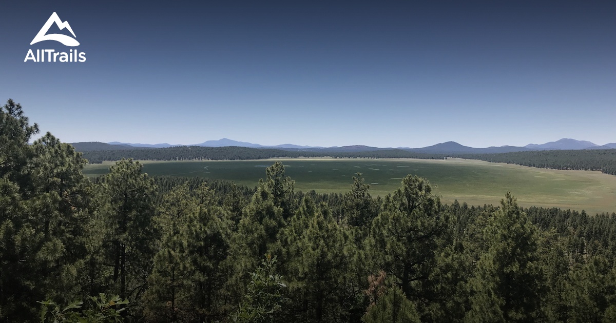 Best hikes and trails in Roger Lake County Natural Area | AllTrails