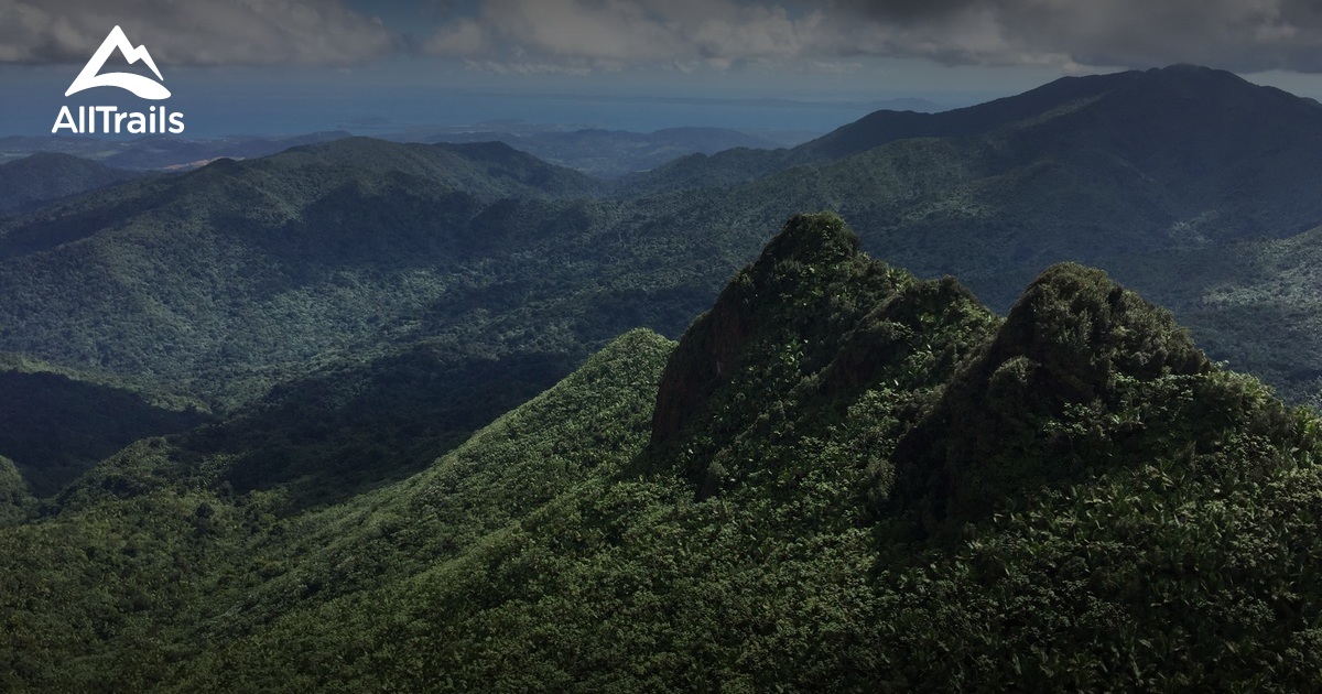 Best Trails In El Yunque National Forest East Region Puerto Rico Alltrails