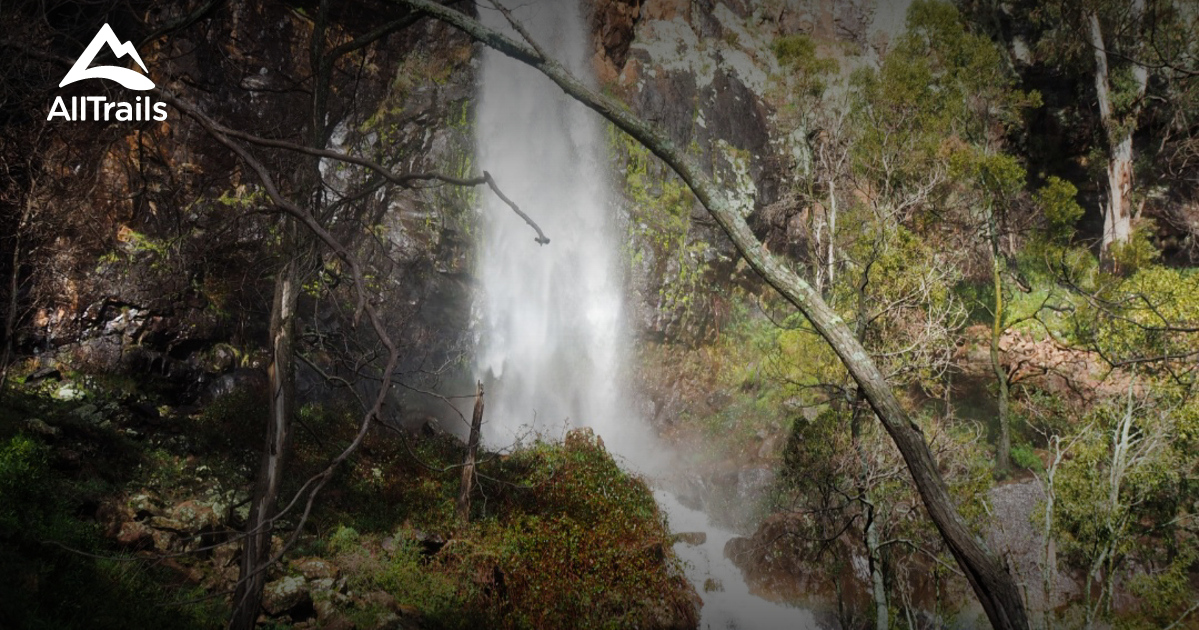 10 Best hikes and trails in Mount Canobolas State Conservation Area | AllTrails