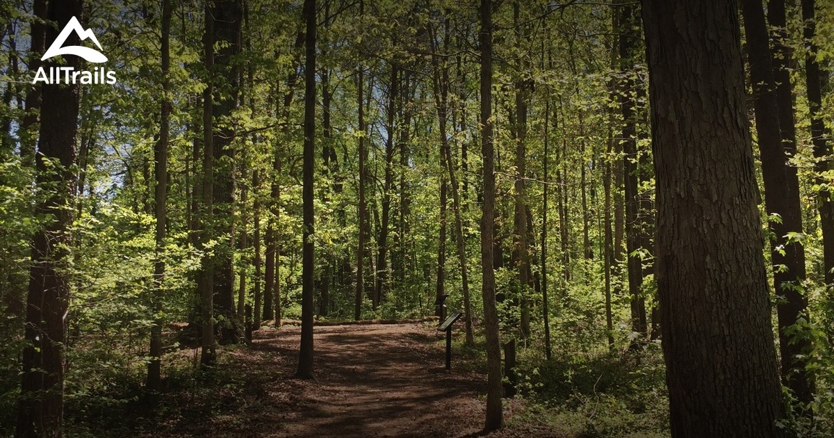 Best hikes and trails in Beth Schmidt Park | AllTrails