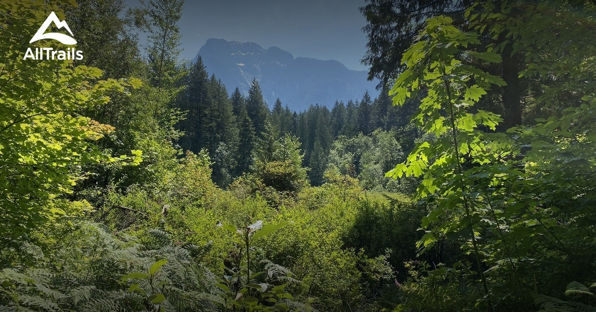 Best hikes and trails in Thacker Regional Park | AllTrails