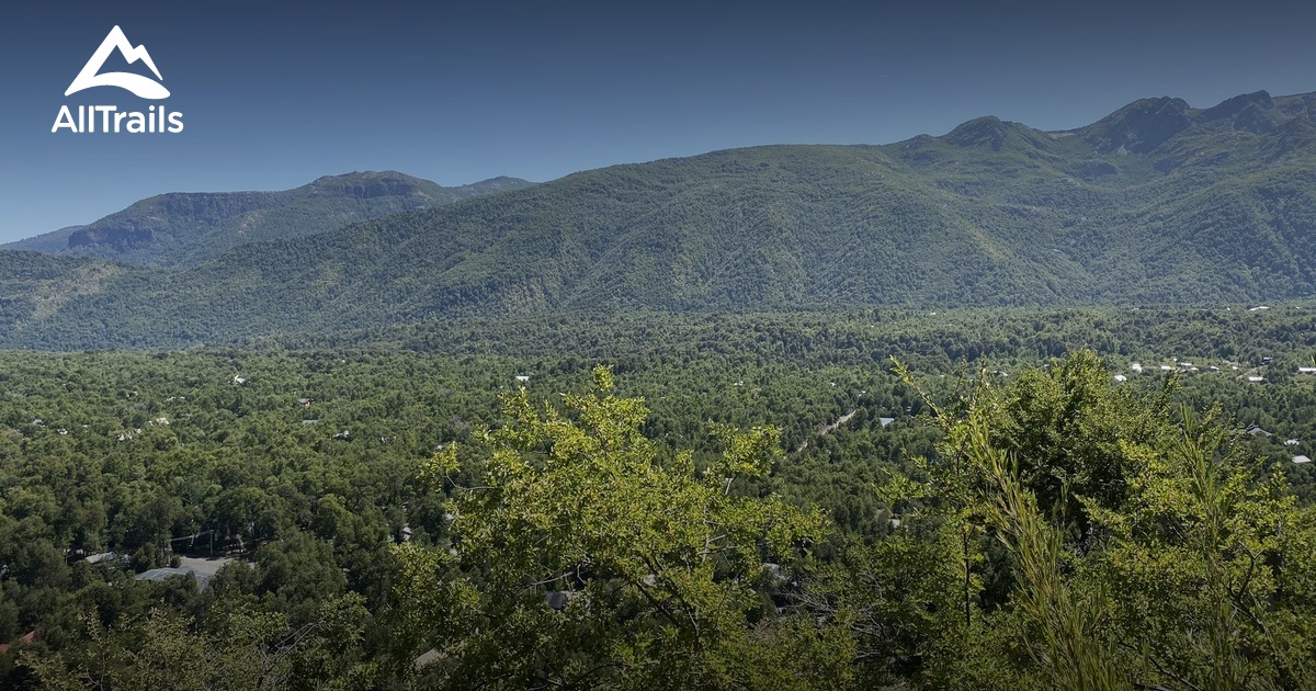 Best Hikes And Trails In Ñuble National Reserve Alltrails