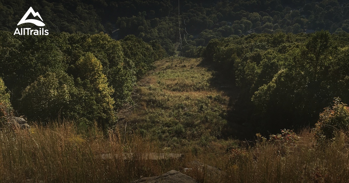 10 Best hikes and trails in Blevin's Gap Nature Preserve | AllTrails