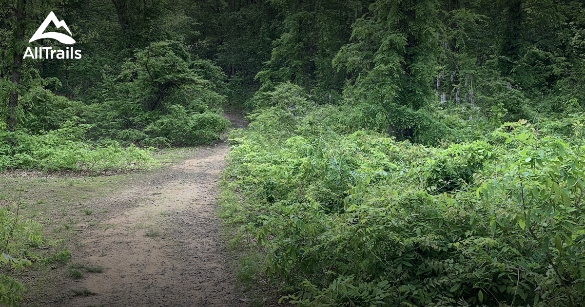 Best hikes and trails in Frost Woods Park | AllTrails