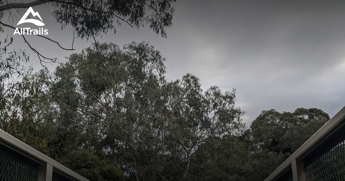 Best hikes and trails in Scotchmans Creek Reserve | AllTrails