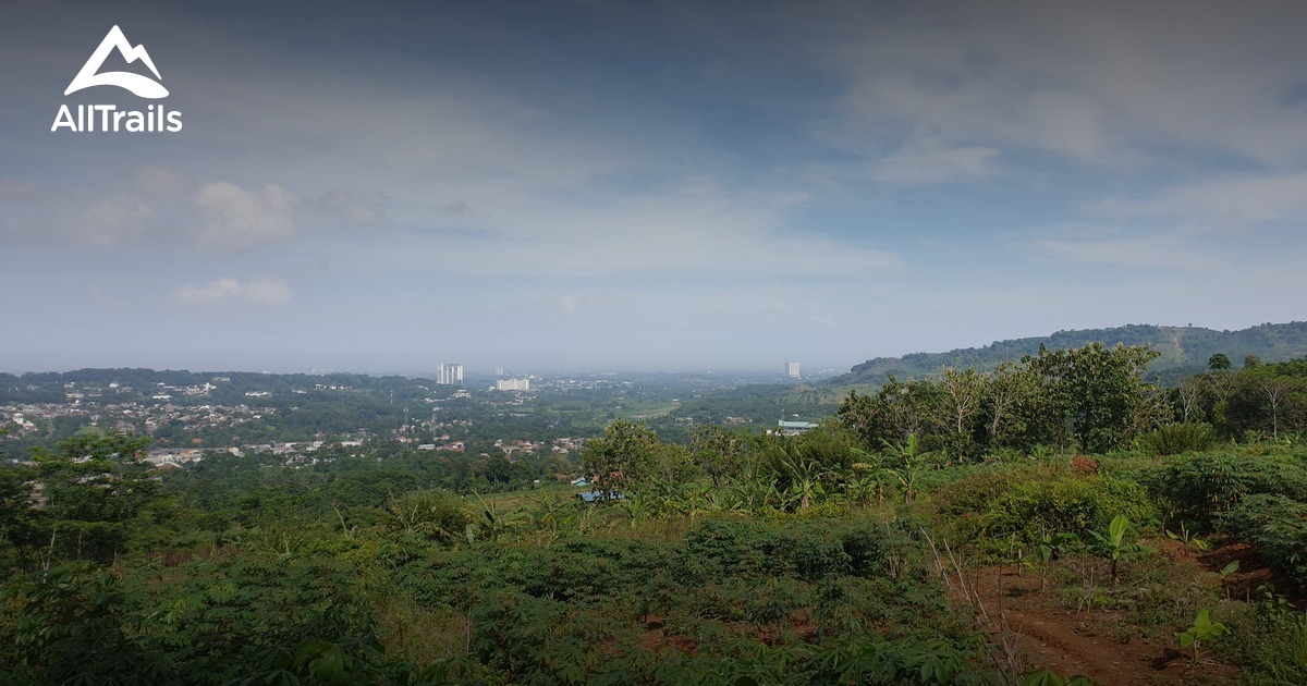 Best hikes and trails in Taman Wisata Alam Gunung Pancar | AllTrails