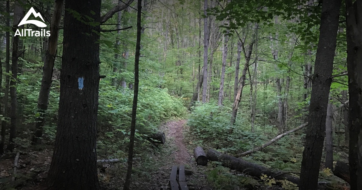 Best hikes and trails in Curtis Homestead | AllTrails