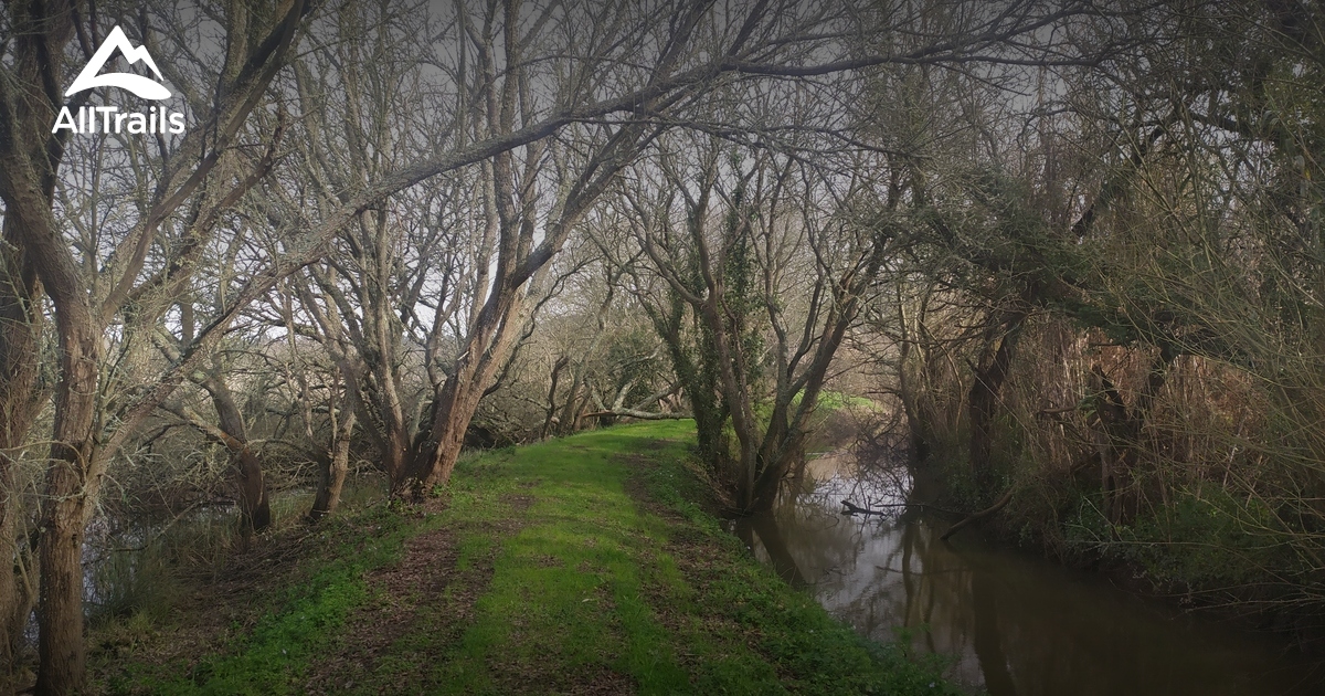 Best hikes and trails in Reserva Natural Local do Paul de Tornada | AllTrails