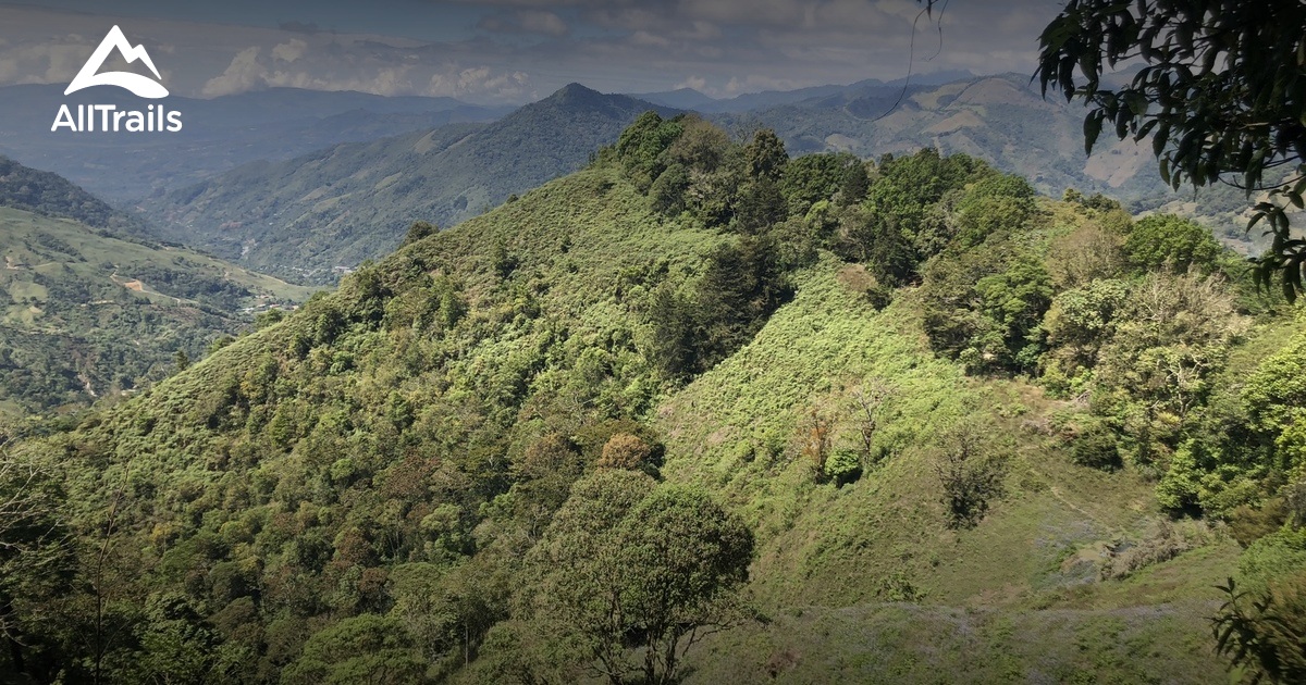 Best hikes and trails in Cloudbridge Nature Reserve | AllTrails