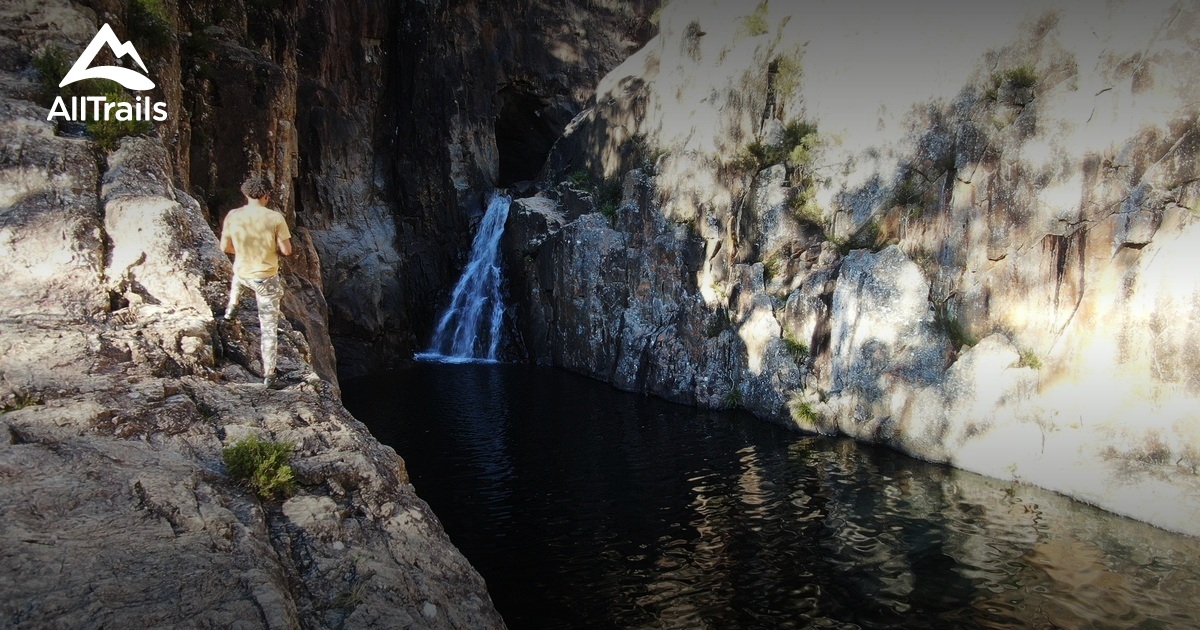 Best hikes and trails in Nethercote Falls Flora Reserve | AllTrails