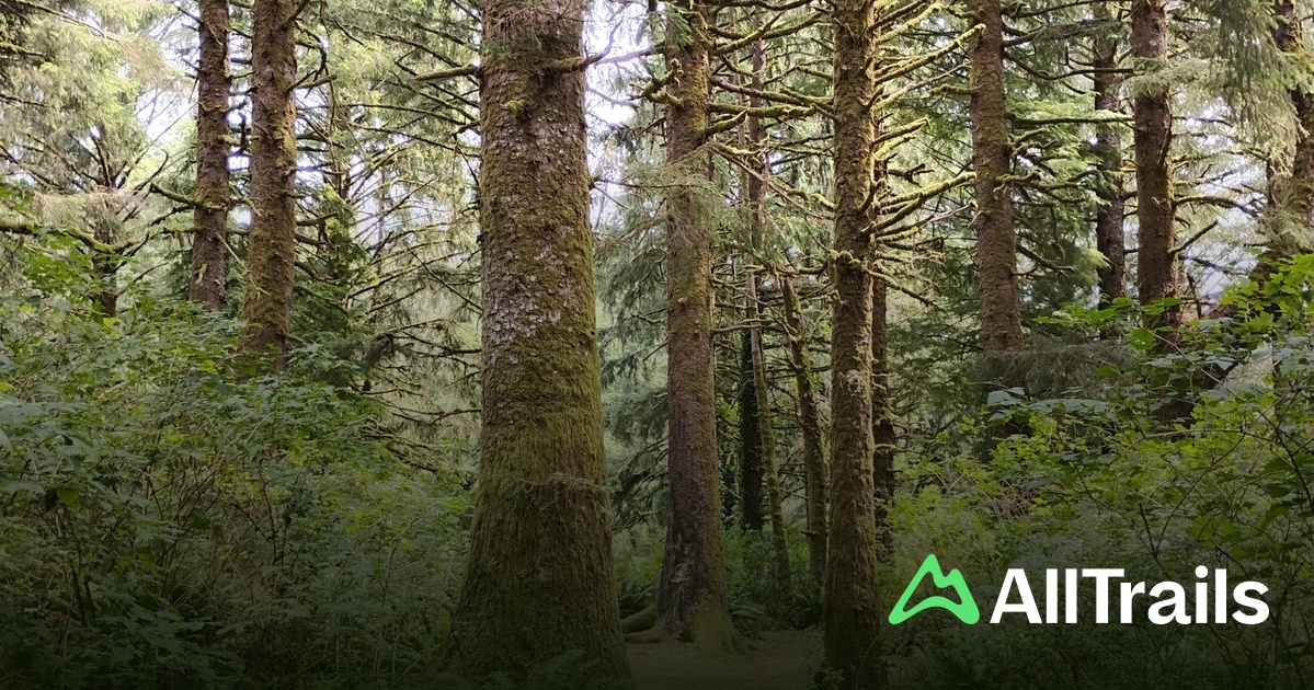 Best forest trails in Friends of Wildwood Open Space | AllTrails
