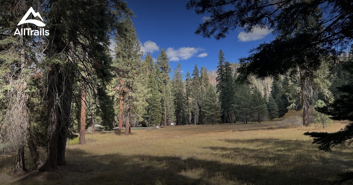 Quaking Aspen List Alltrails