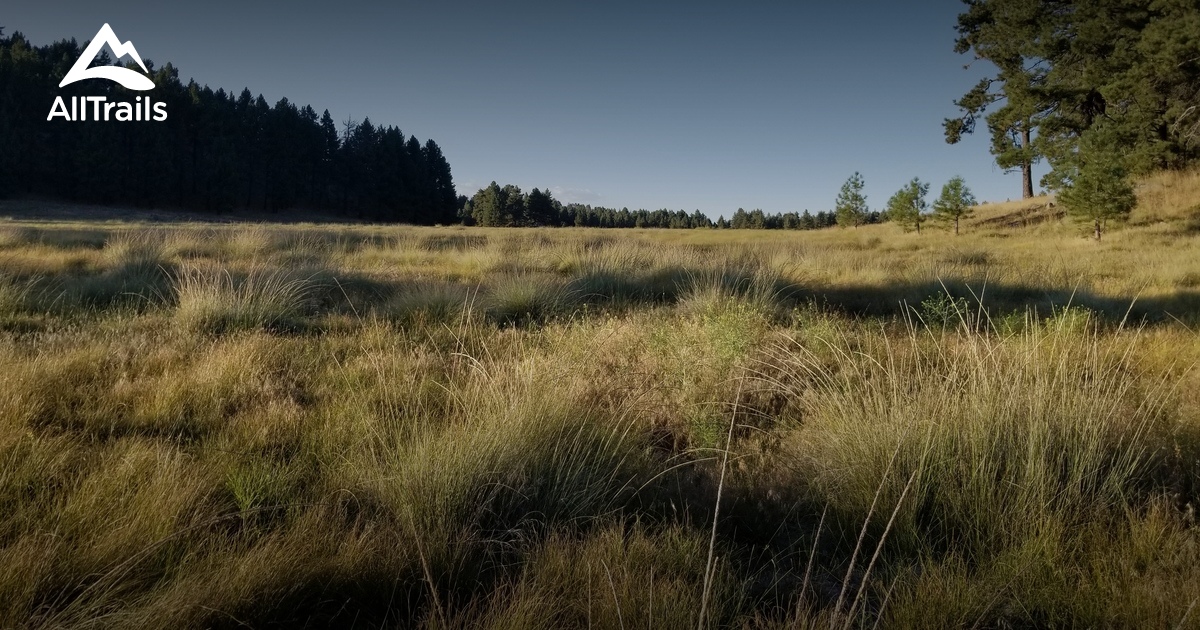 TCT Training | List | AllTrails