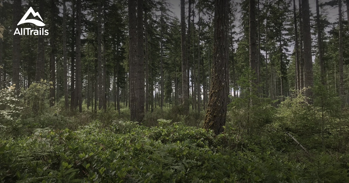 Local strolls | List | AllTrails