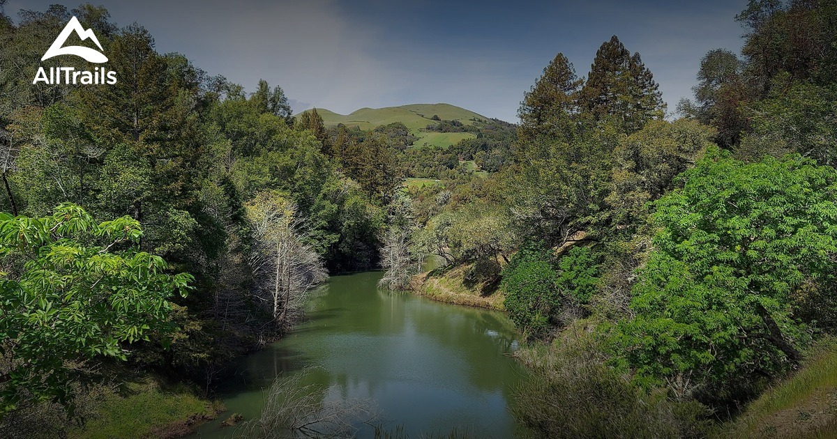 Marin Easy | List | AllTrails