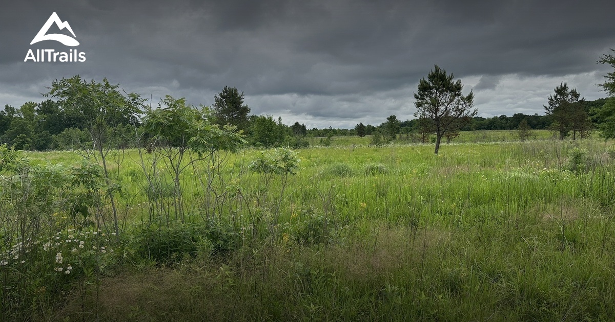 McDowell easy&mod | List | AllTrails