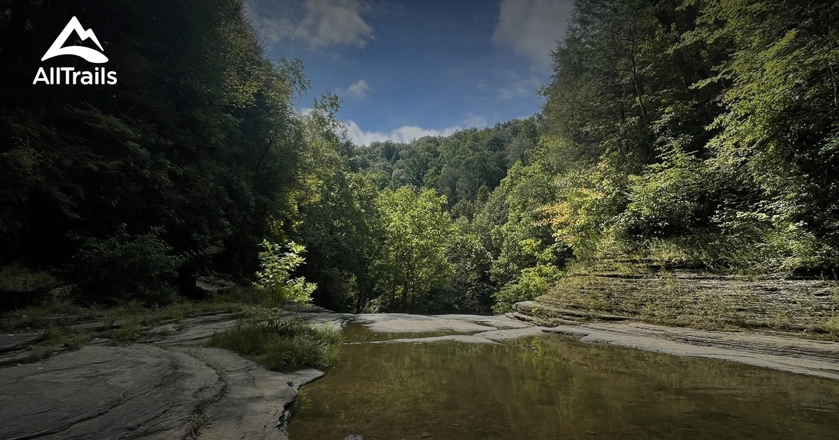 1+ Waterfall Easy | List | AllTrails