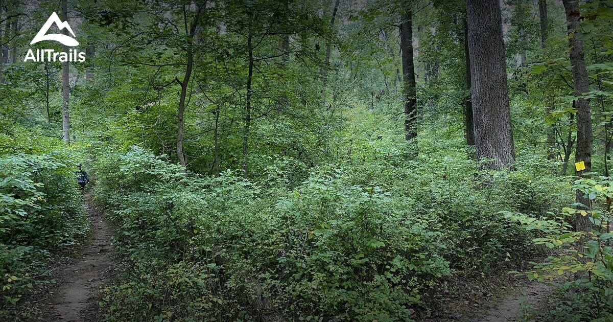 Atlas - Hike Queue | List | AllTrails