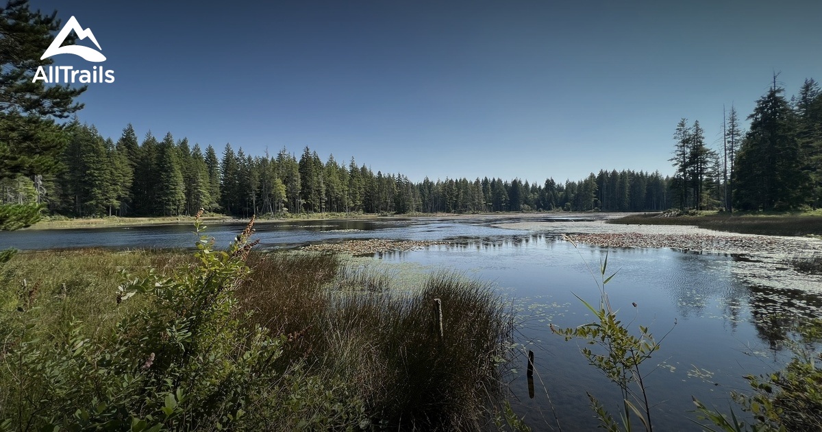 Kitsap County - Easy | List | AllTrails