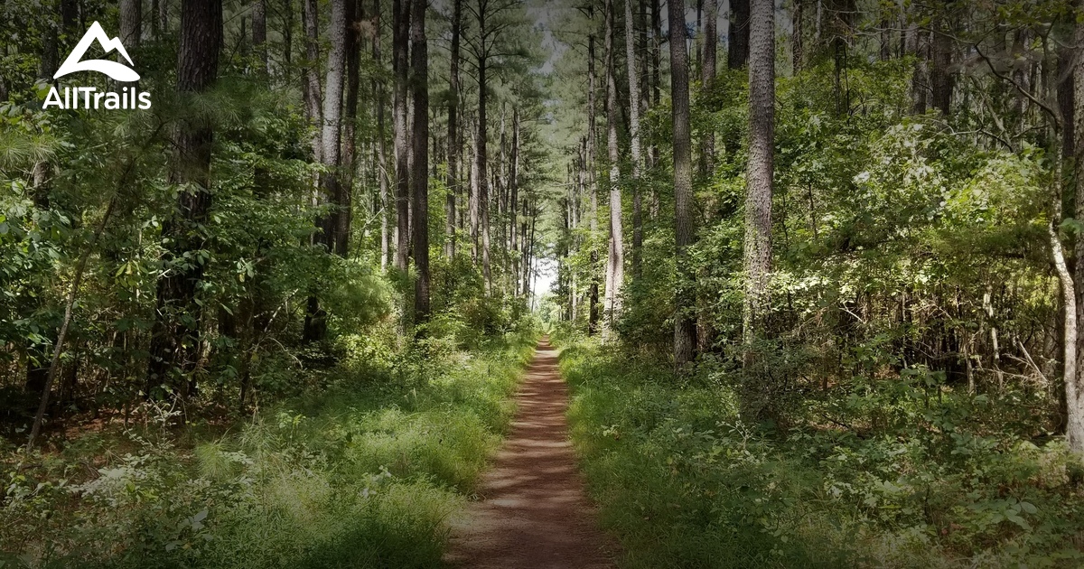 Conway Robinson state Park | List | AllTrails