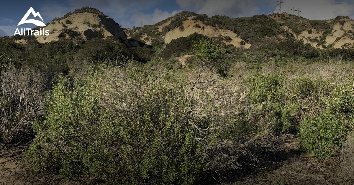 Local forage | List | AllTrails