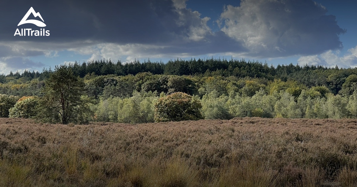 Netherlands - Finished | List | AllTrails