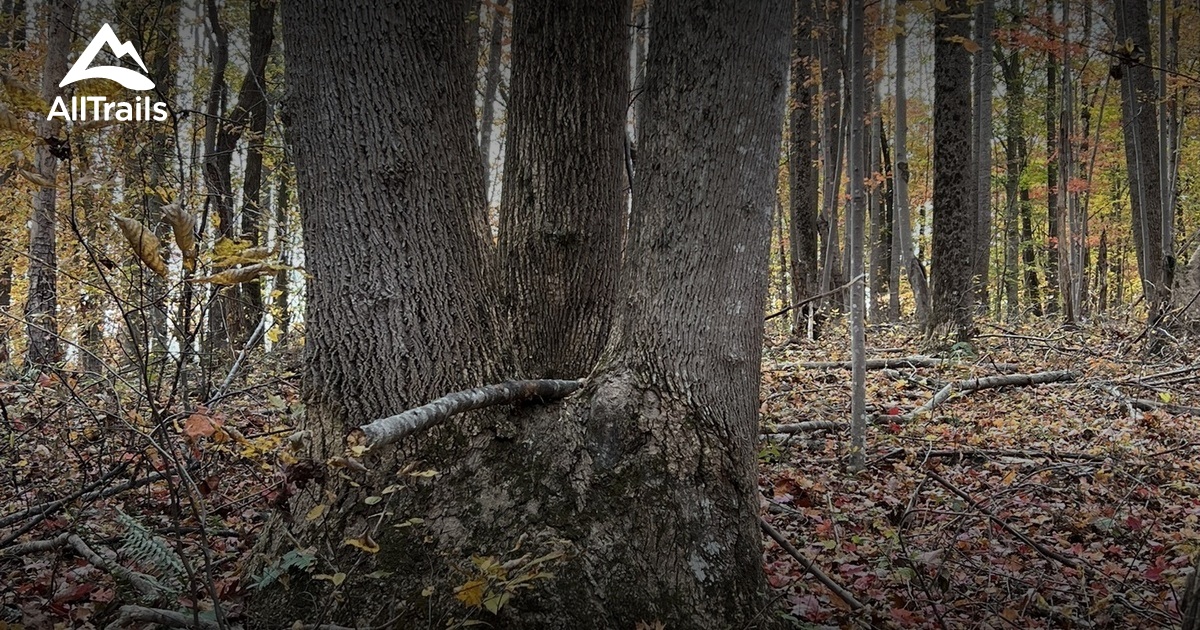 Cemeteries/Barns/Old Stuff | List | AllTrails