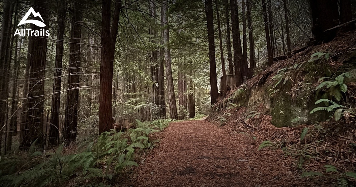 Completed Hikes | List | AllTrails