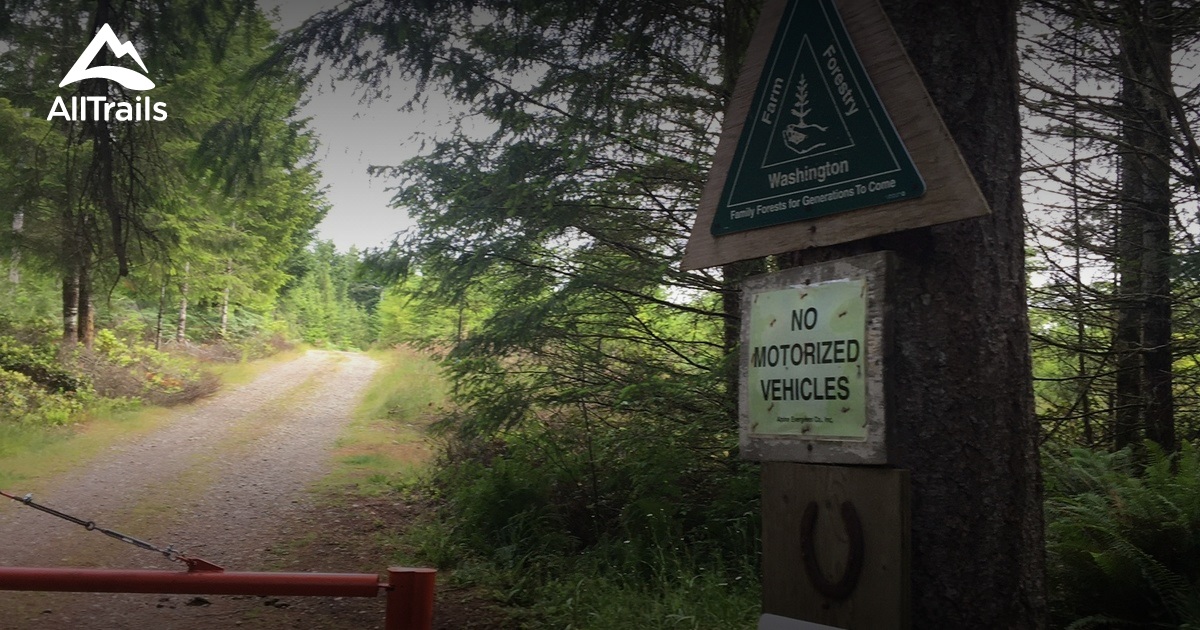 Alpine evergreen | List | AllTrails