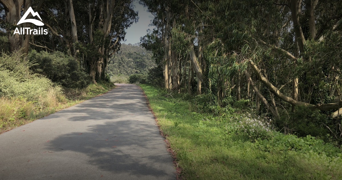 Easy/Moderate Mountain Bike Trails | List | AllTrails