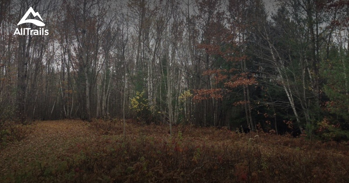 Lake Tomahawk | List | AllTrails