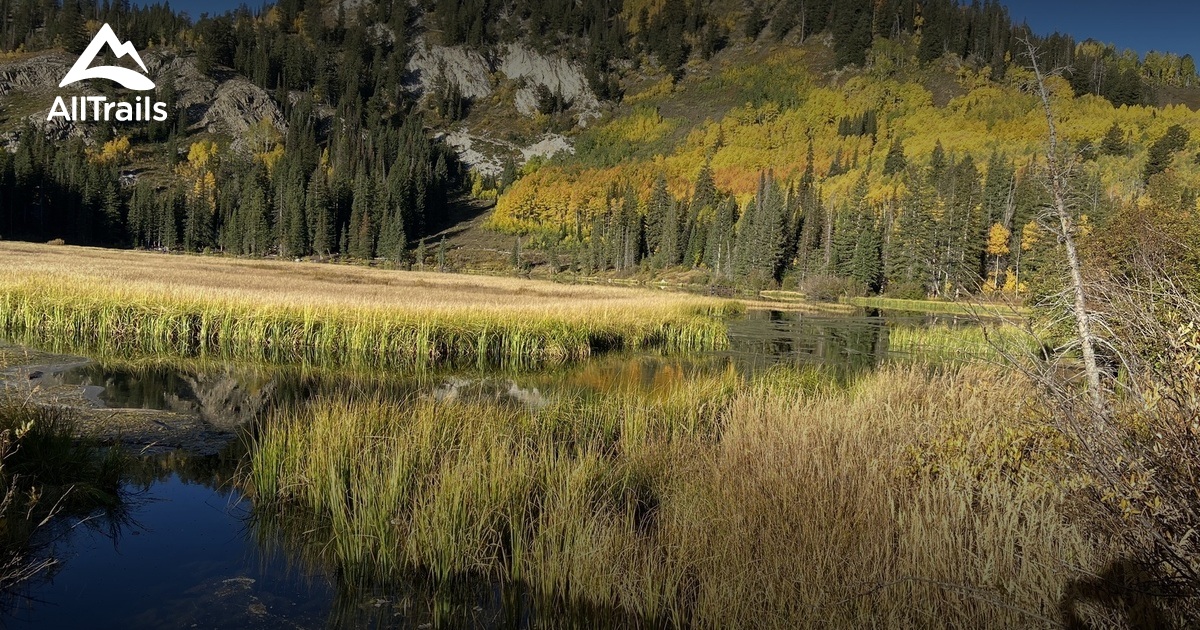 Central Uinta-Wasatch-Cache National Forest | List | AllTrails